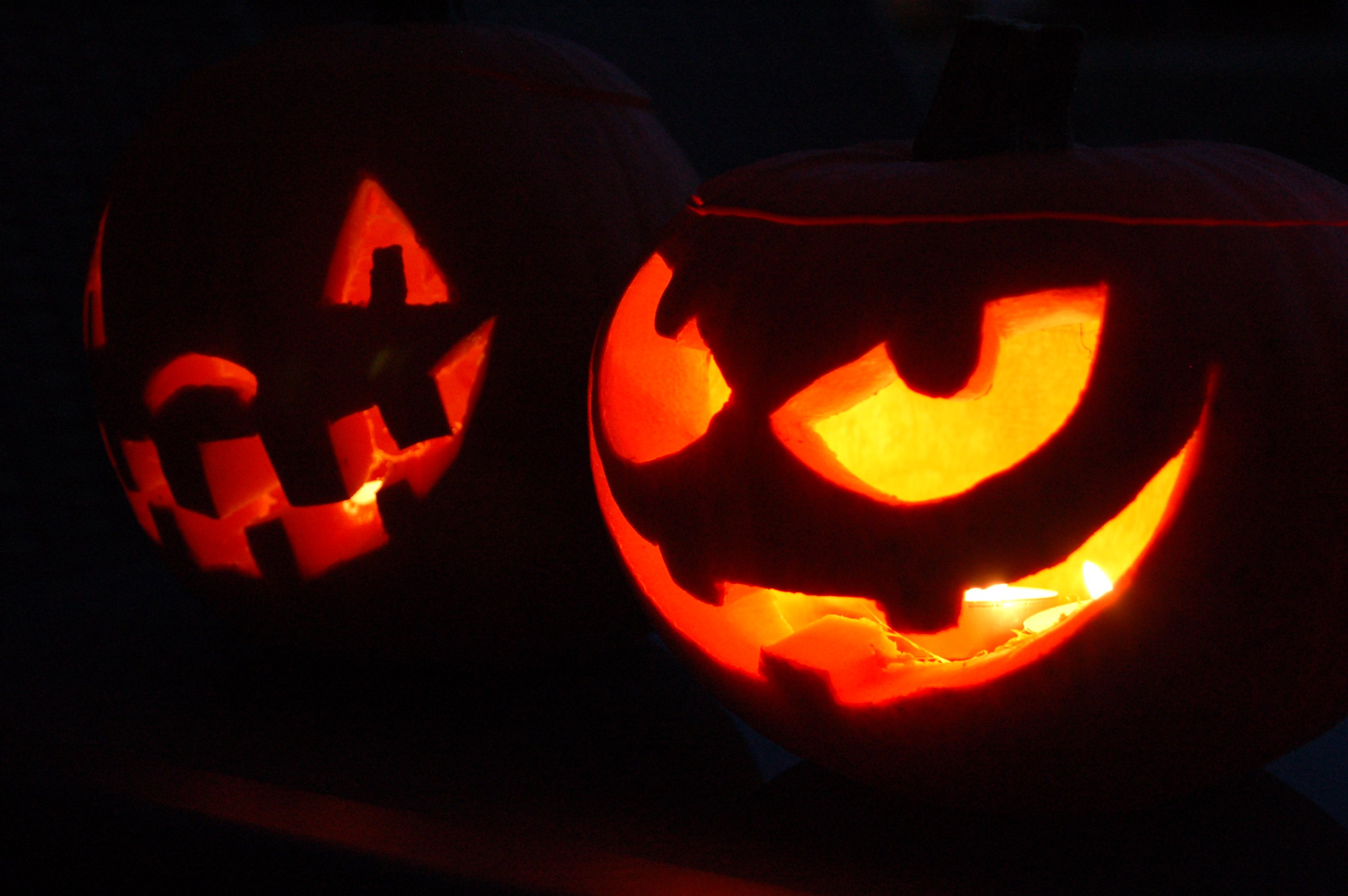 Brooklyn Gears Up for Halloween with Haunted Happenings, Scary Good Fun ...